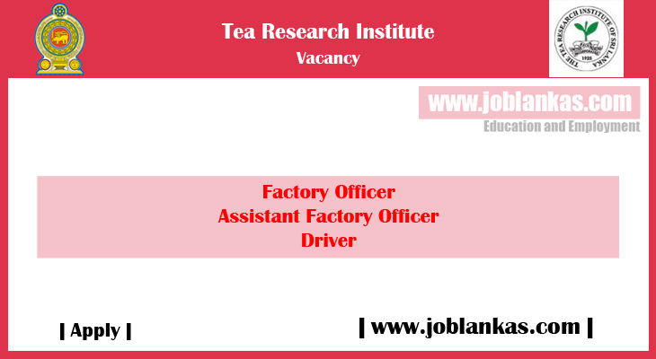 Tea Research Institute Vacancies 2023 – Factory Officer, Assistant ...