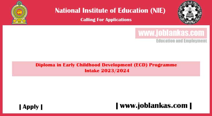Diploma in Early Childhood Development 2023 – National Institute of ...